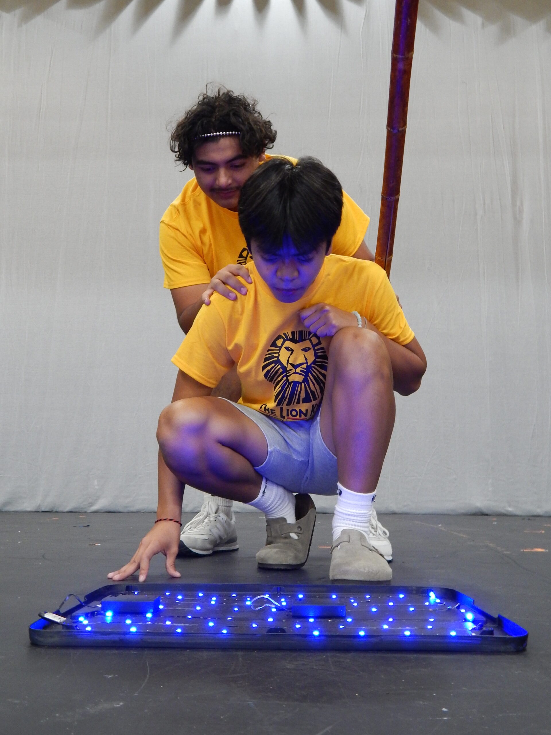 Sleepy Eye High School presents Disney Lion King Experience | News, Sports, Jobs - The Journal